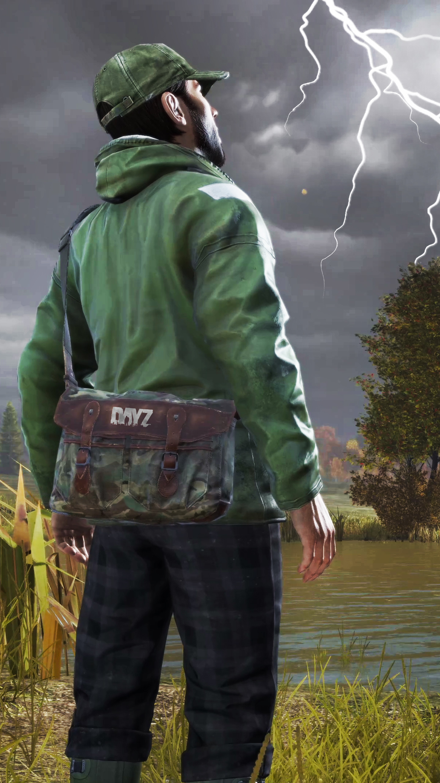 DayZ