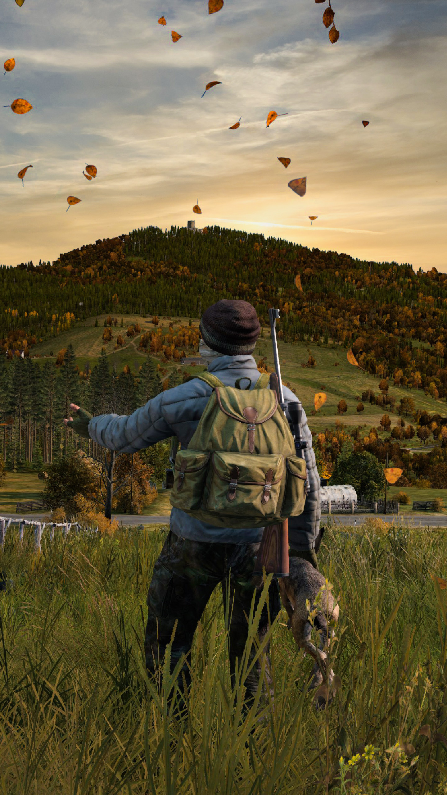 DayZ