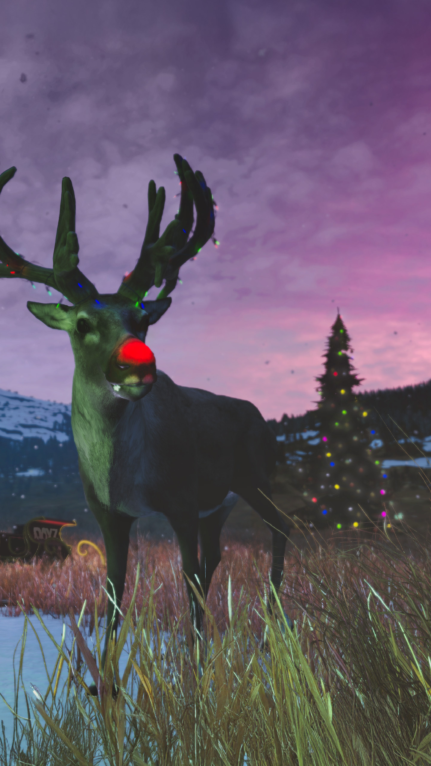 DayZ